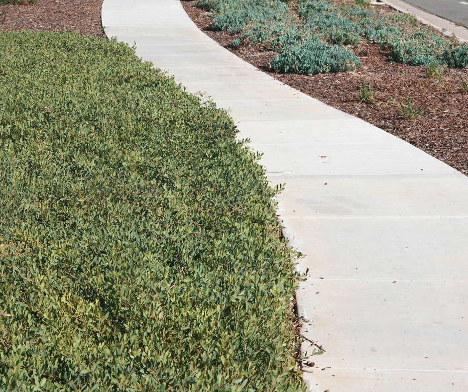 Transform Your Outdoors with Durable and Stylish Concrete Sidewalks by ...